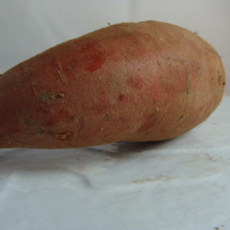 patate douce bio- Du Panier à l'Assiette - Du panier à l'assiette