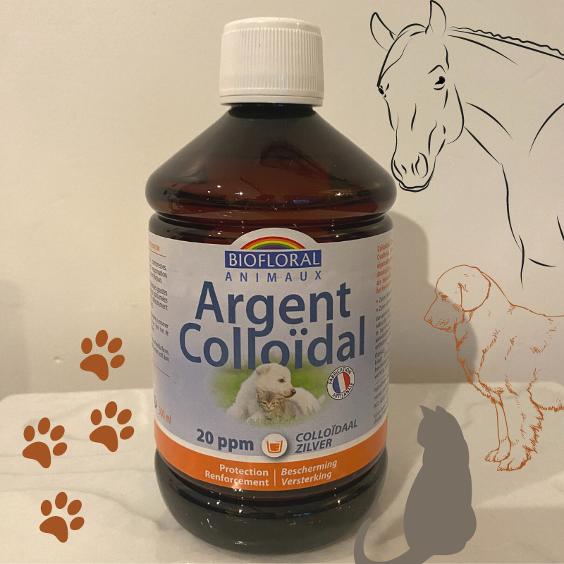 Argent Colloïdal - Du Panier à l'Assiette