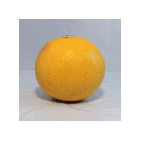 Pomelo rose Bio - Du Panier à l'Assiette